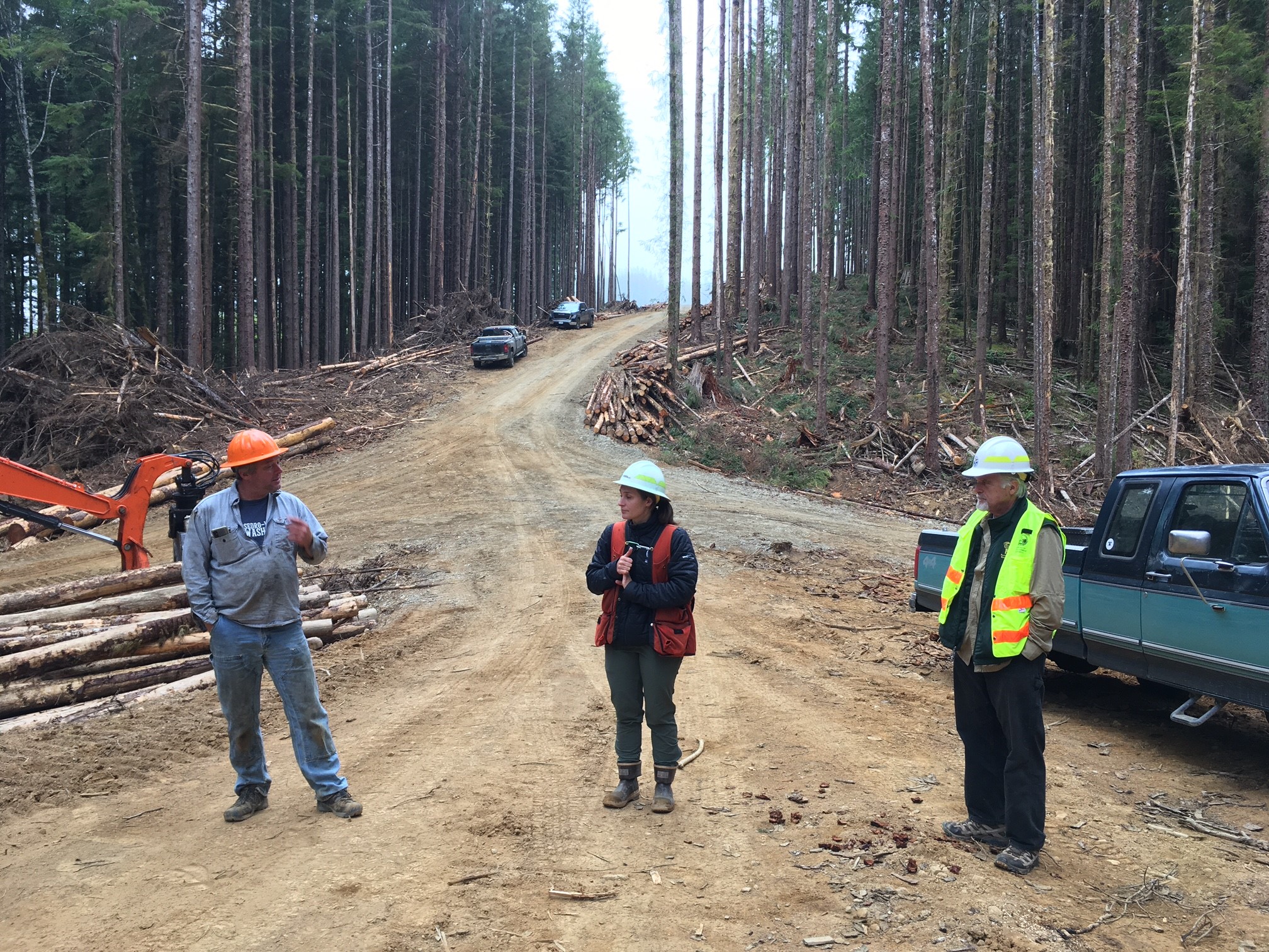 Olympic Forest Collaborative – Working with Partners to Benefit our Forests